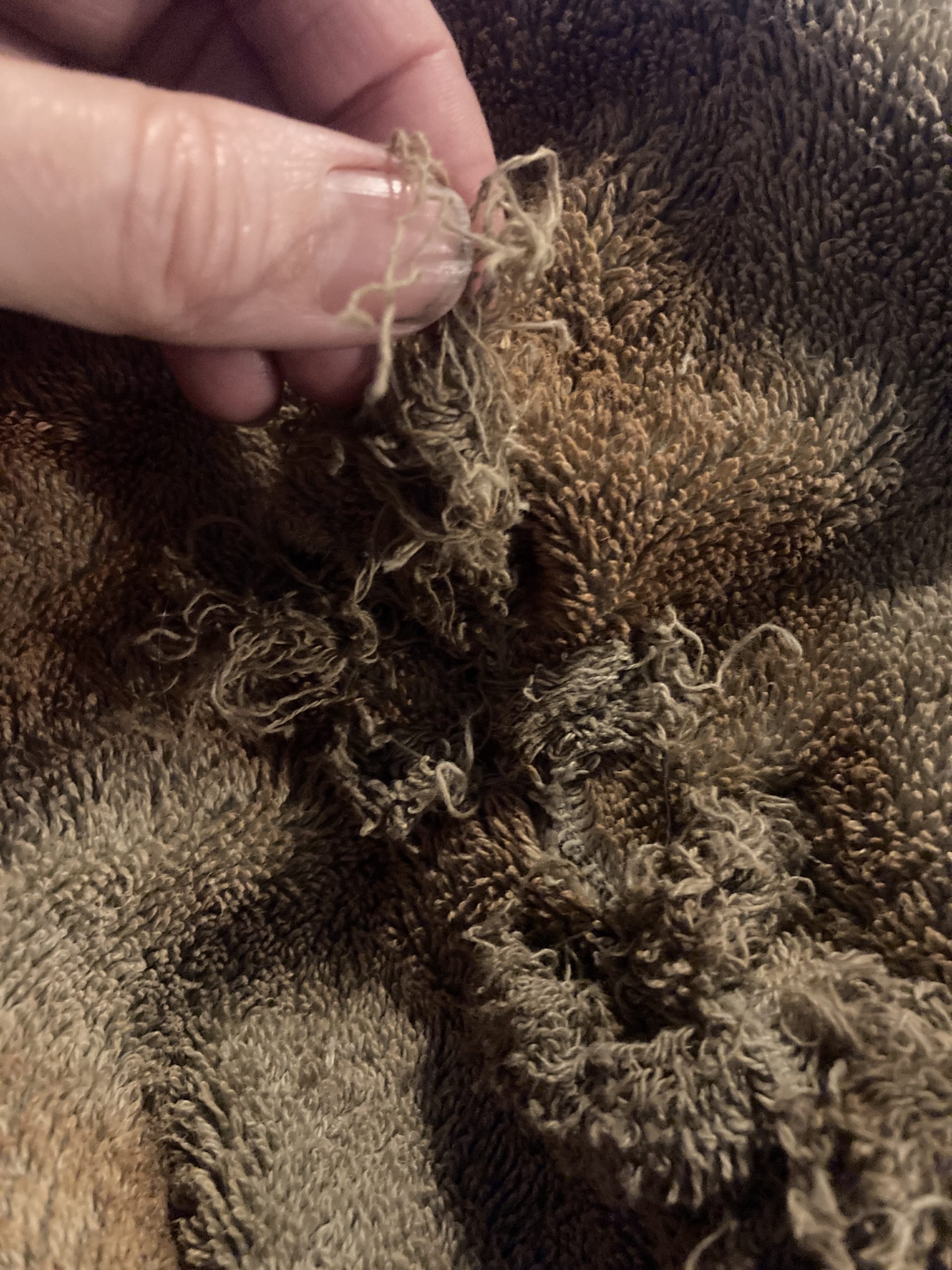 Stitching – Wendy Lawson